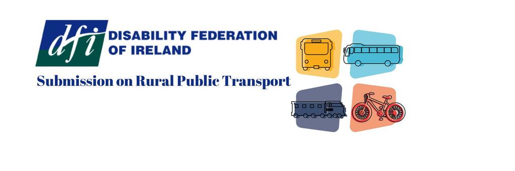 Publications | Disability Federation of Ireland