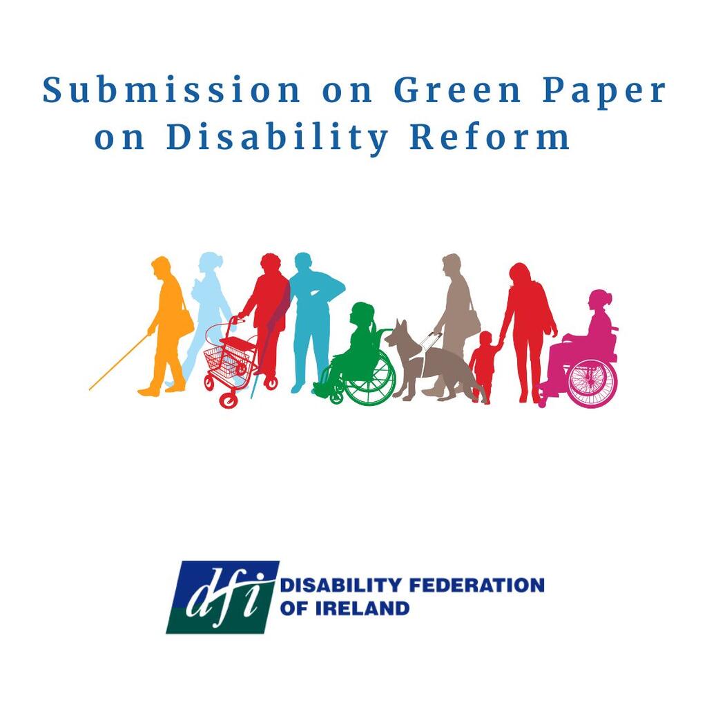 Publications | Disability Federation of Ireland