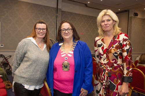 DFI and Local Government | Disability Federation of Ireland