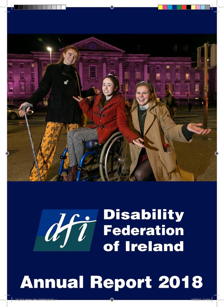 Publications | Disability Federation of Ireland Publications | Disability Federation of Ireland