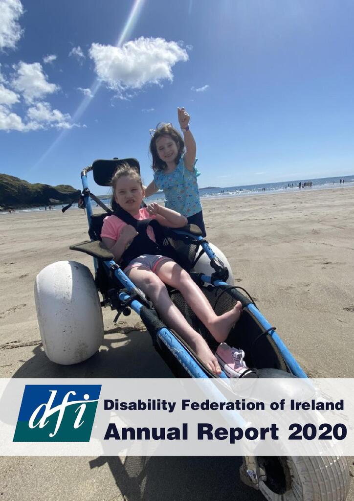 Publications | Disability Federation of Ireland
