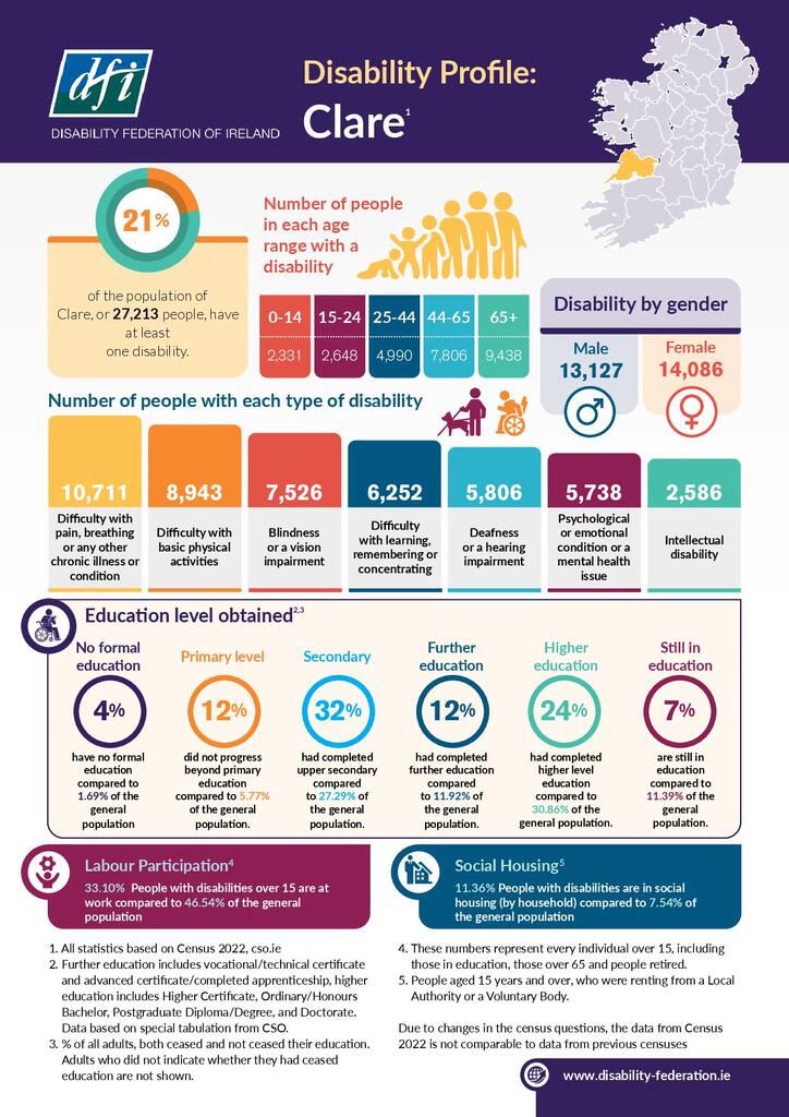 Publications | Disability Federation of Ireland Publications | Disability Federation of Ireland