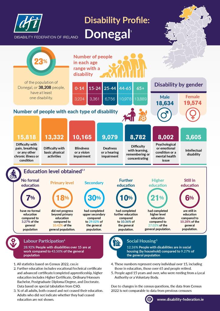 Publications | Disability Federation of Ireland