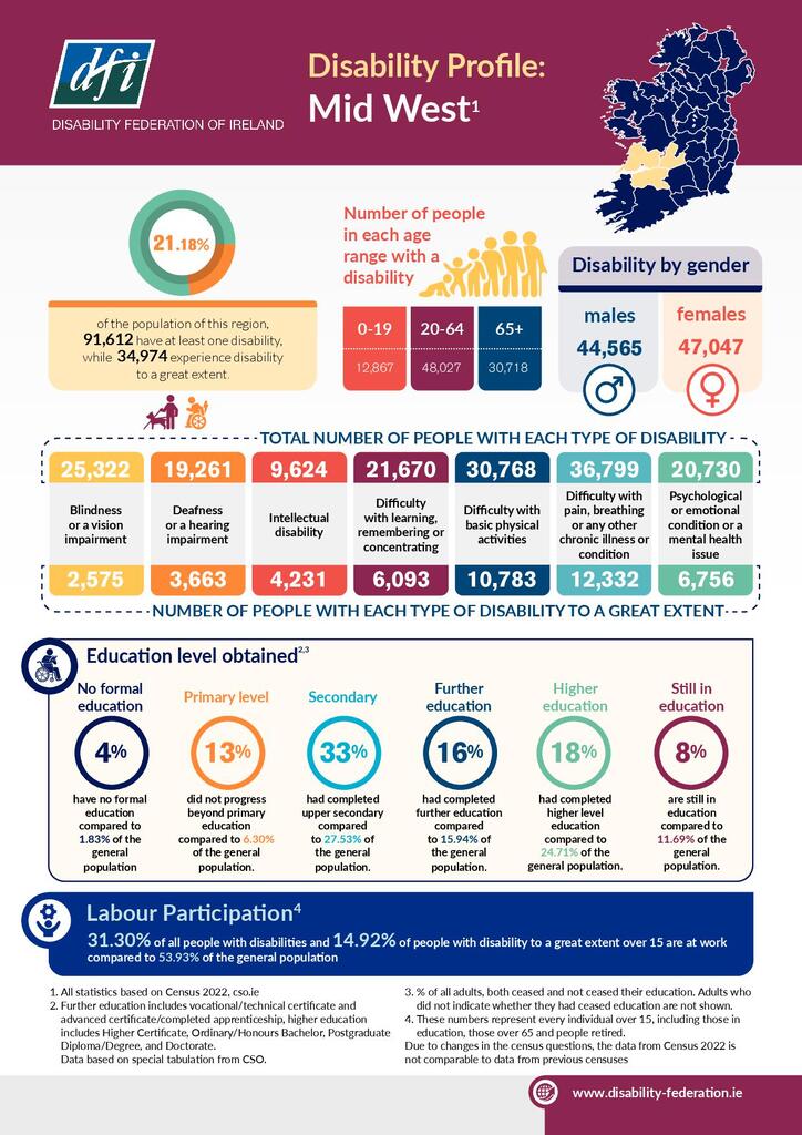 Publications | Disability Federation of Ireland